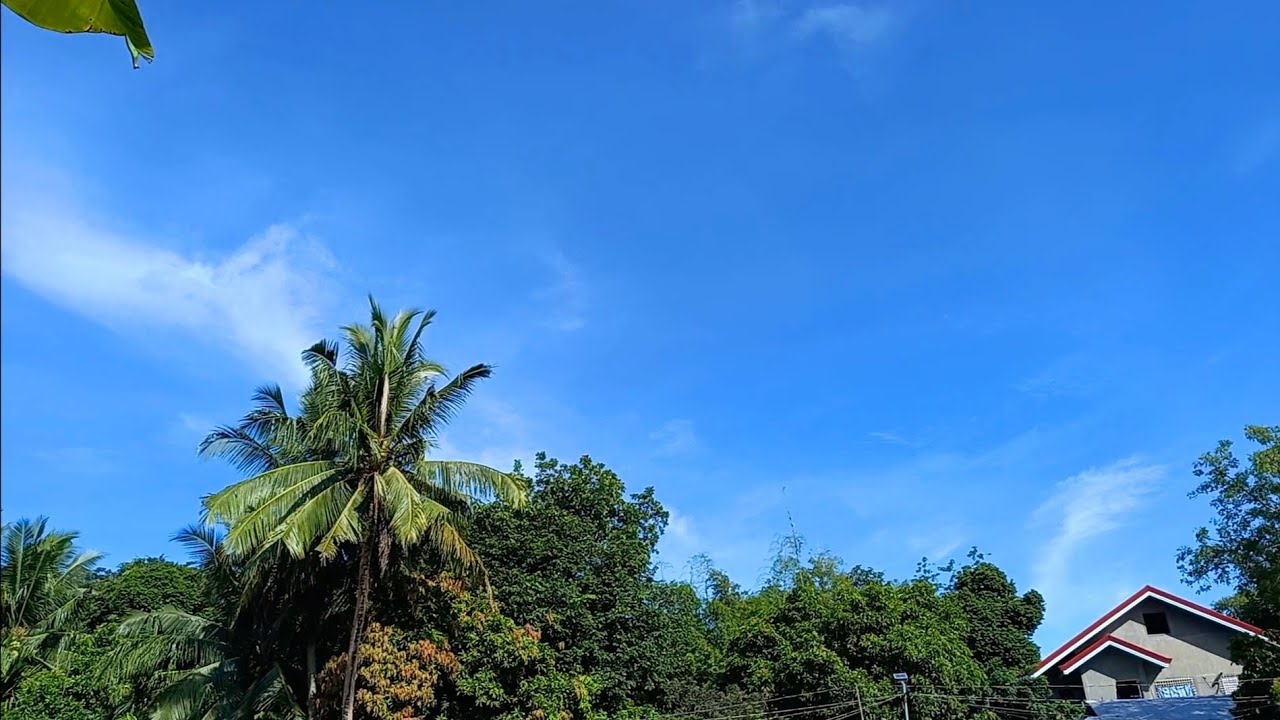 The Province Life In Philippines//Iloilo Country side // Typical ...