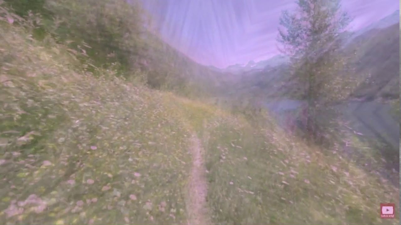 Shroom Trip Simulation - YouTube