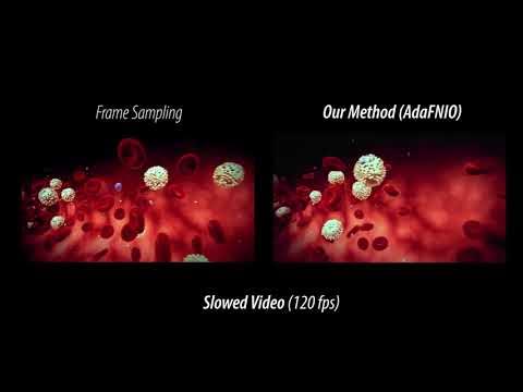 AdaFNIO Physics based Adaptive Fourier Neural Interpolation Operator for synthetic frame ...