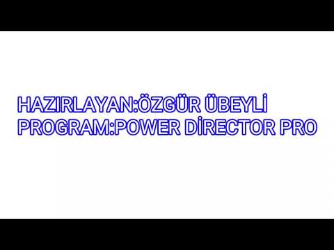 Ünlülerin şaşırtıcı sevgilileri ve eşleri