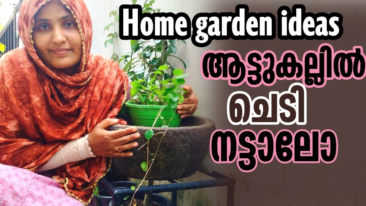 ആട്ടുകല്ല്പോലും ഗാർഡണിൽ താരങ്ങൾ ആവുമ്പോൾ|Home garden ideas @Master Midha - YouTube