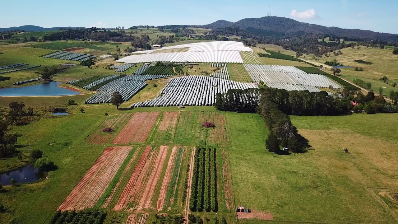 Orange test flight - YouTube