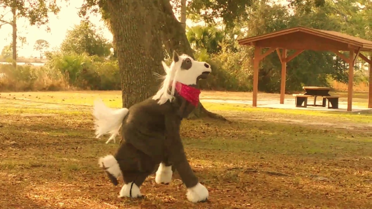 #19 My Horse Quad Suit/Enjoying Nature! - YouTube