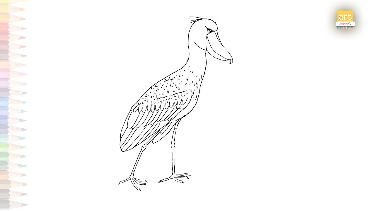 Shoebill drawings | whalebill drawing | How to draw Shoebill step by ...