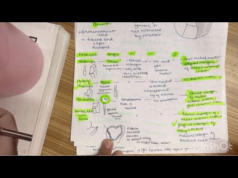 Principles of Tooth Preparation FPD Prosthodontics Part 2 - YouTube
