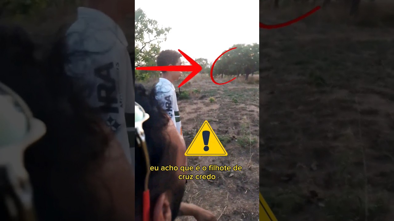 ACHAMOS O FILHOTE DE CRUZ CREDO 😱🚨 - YouTube
