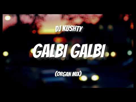 DJ Kushty Galbi Galbi (Organ Remix)