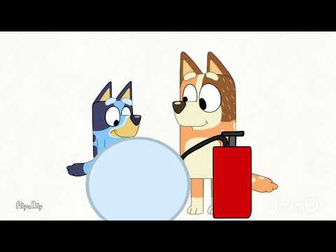 Bluey belly inflation chilli 