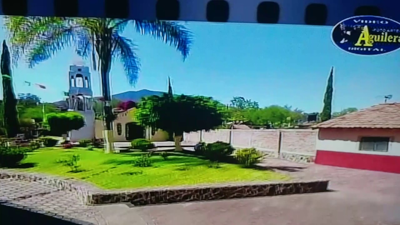 Moreno de valencia michoacan - YouTube