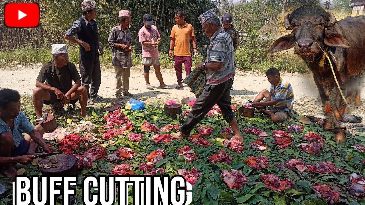 Buff cutting in nepal// Aaj 50000 ko raga katdei @DurgakhalingRai-qr7pd ...