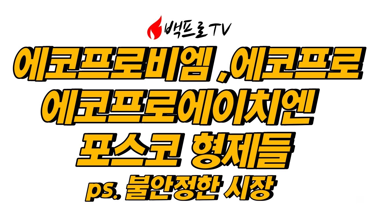 에코프로비엠 에코프로 에코프로에이치엔 포스코dx 포스코홀딩스 Youtube