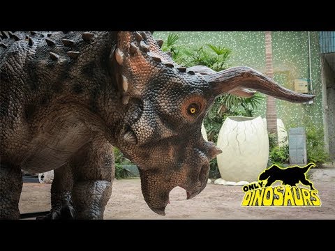 Realistic Animatronic triceratops - YouTube