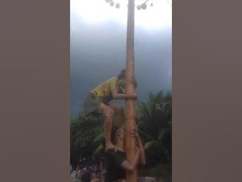 Bokep panjat pinang - YouTube