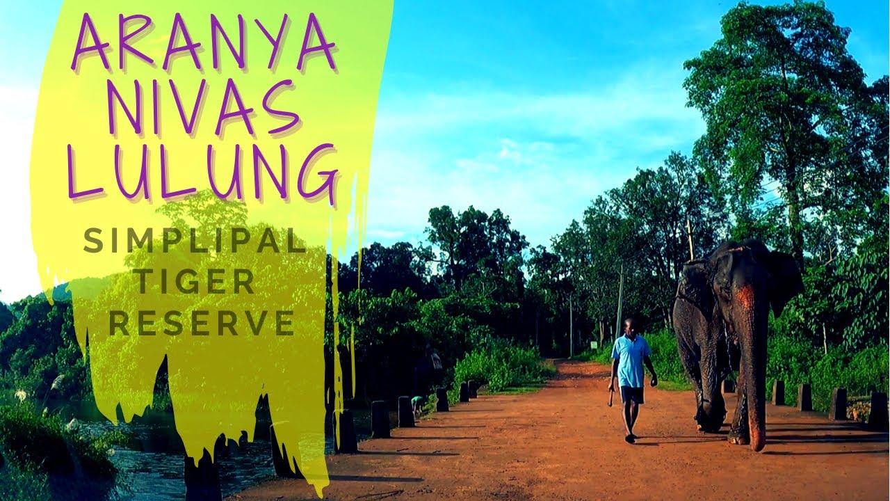 Aranya Nivas | Lulung | Similipal National Park Trip | Part 1/2 - YouTube