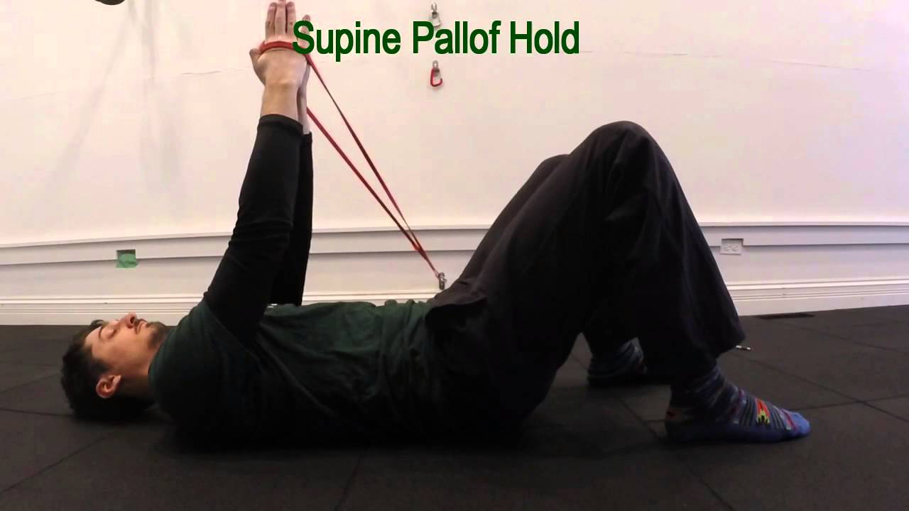 Supine Pallof Hold - YouTube