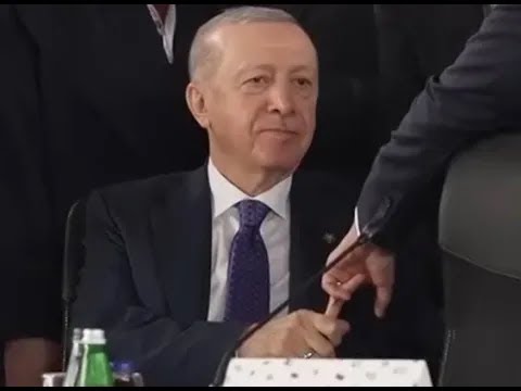 The TRUTH about Erdoğan grabbing Macron's finger | Pull my finger ...