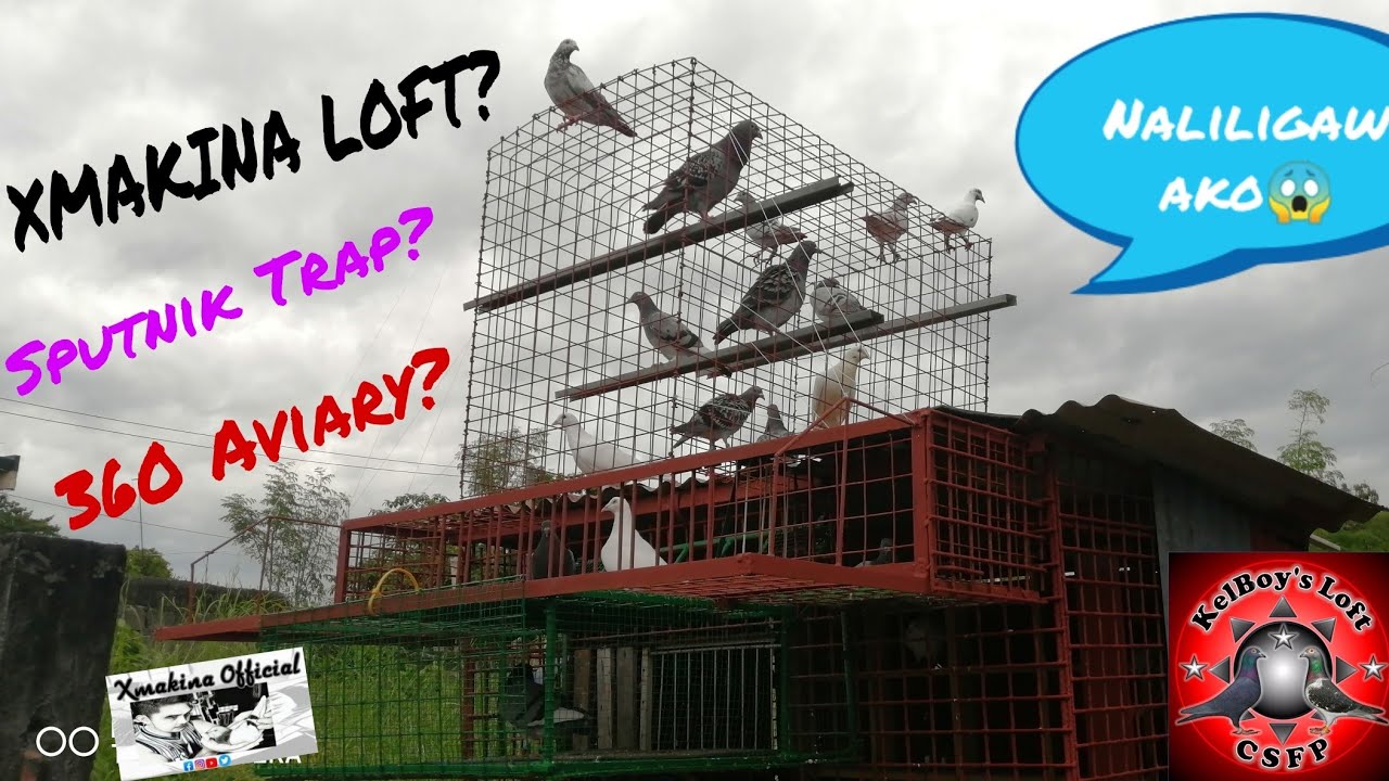XMAKINA inspired LOFT design + Sputnik Trap + 360 Aviary 😱 (3 in 1 ...