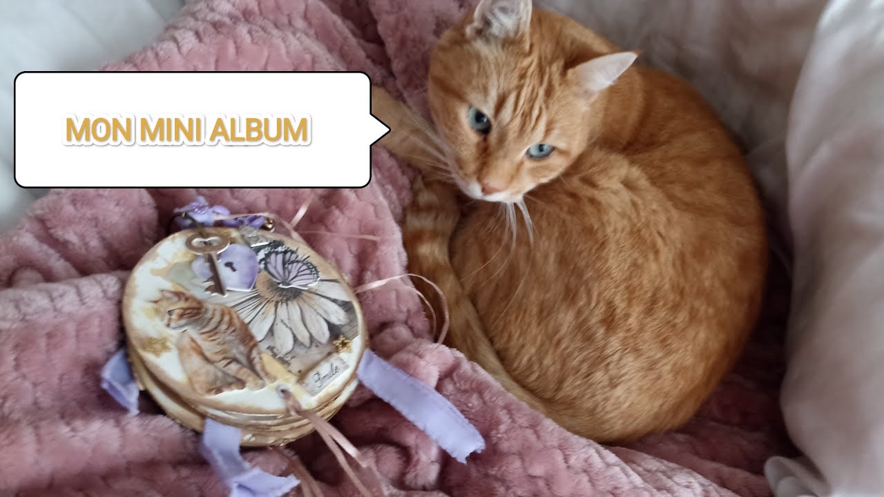 MINI ALBUM ROND (RON...RON) 😺VINTAGE SIMPLE RELIURE ANNEAU - YouTube
