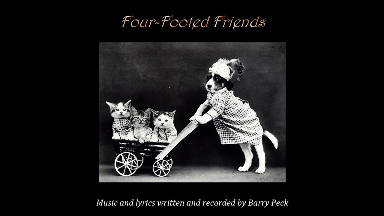 Four Footed Friends - YouTube