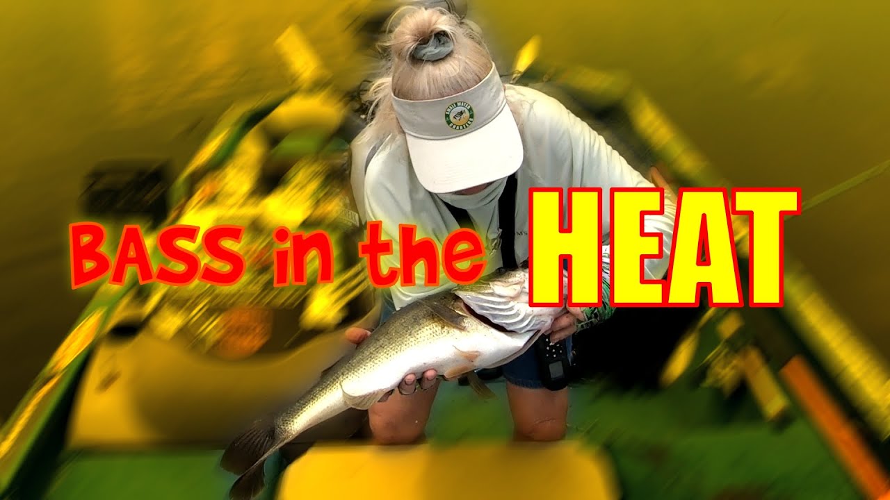 Chasing Bass in the FLORIDA HEAT - YouTube