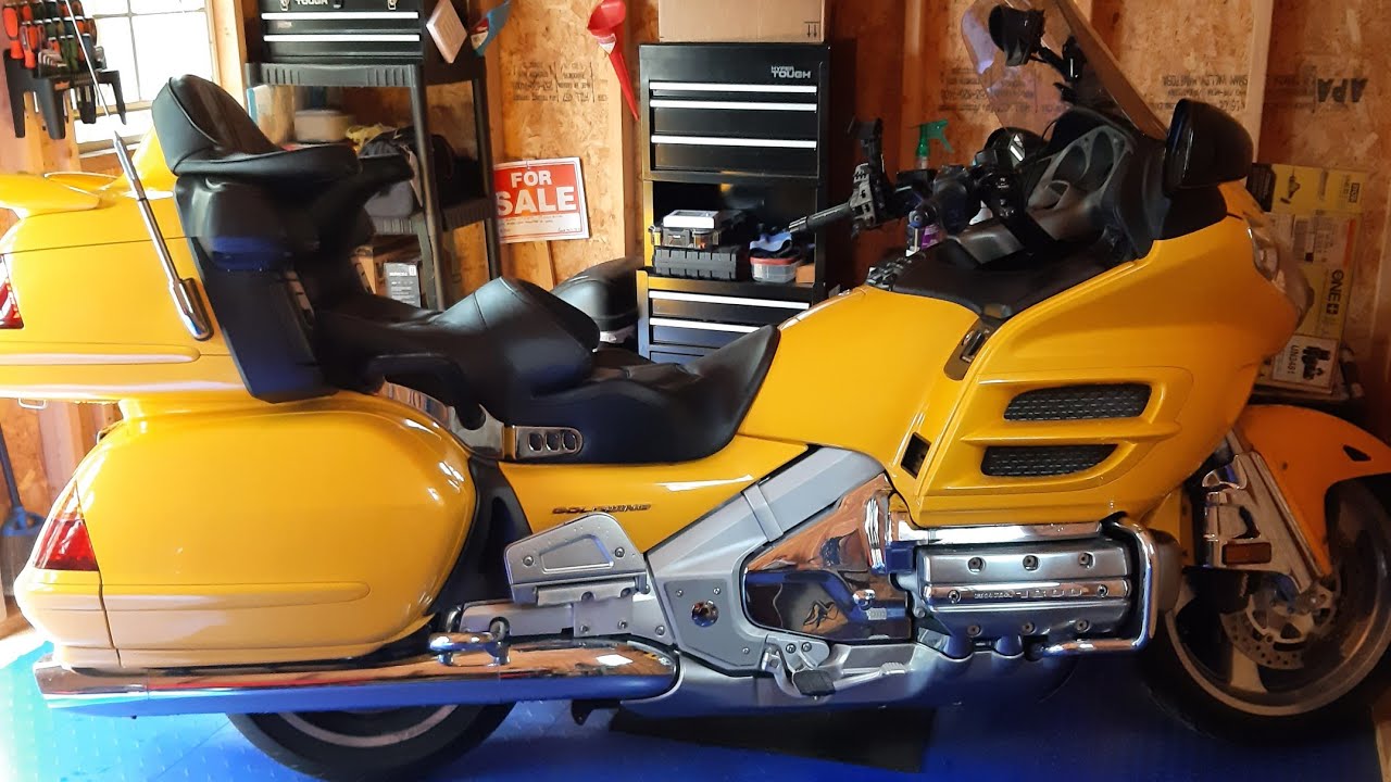 update on Bumblebee and my health - YouTube