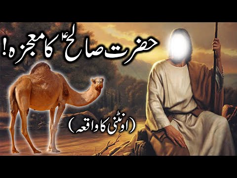 Hazrat Saleh Ka Mojza | Qissa | Story | Waqia | Qaum Par Azab | Camel | Prophet Salih | Mehrban Ali