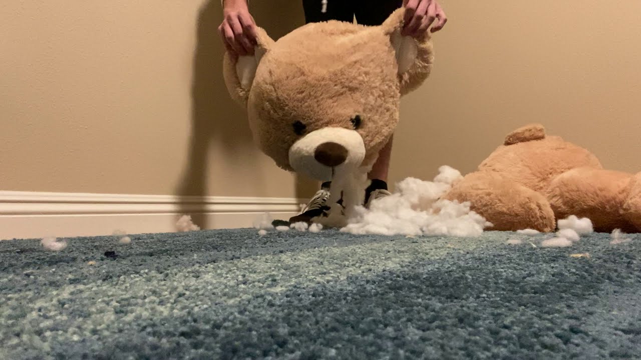 Destroyed Teddy Bear