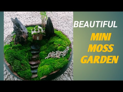 making mini moss garden | Minutes 4 Crafts - YouTube