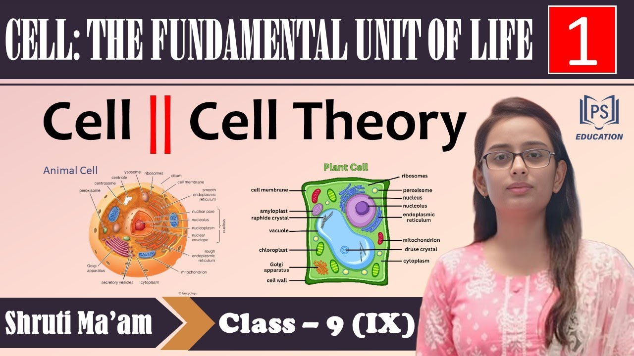 Cell - The Fundamental Unit of Life | Cells | Biology | NCERT | Class 9 ...