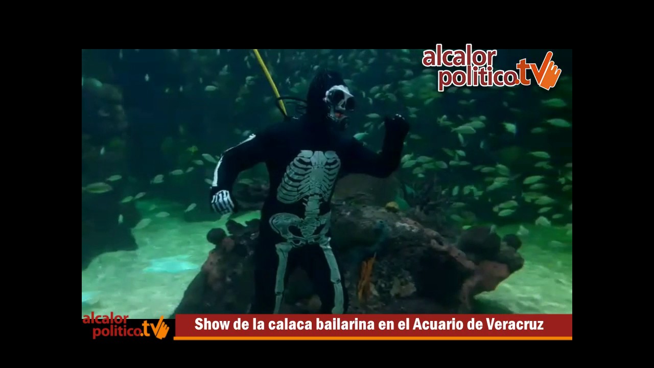 Show de la calaca bailarina en el Acuario de Veracruz - YouTube