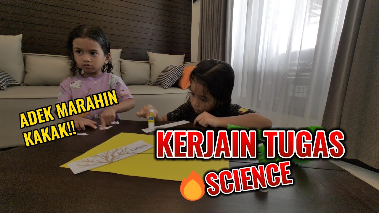 KAKAK KERJAIN TUGAS SEKOLAH SCIENCE "PARTS OF PLANT", DAN DIMARAHIN ...