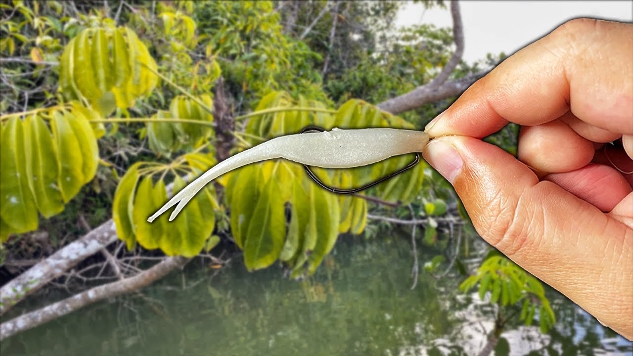 Pesca TROPICAL | NO Esperaba Esta CAPTURA - YouTube