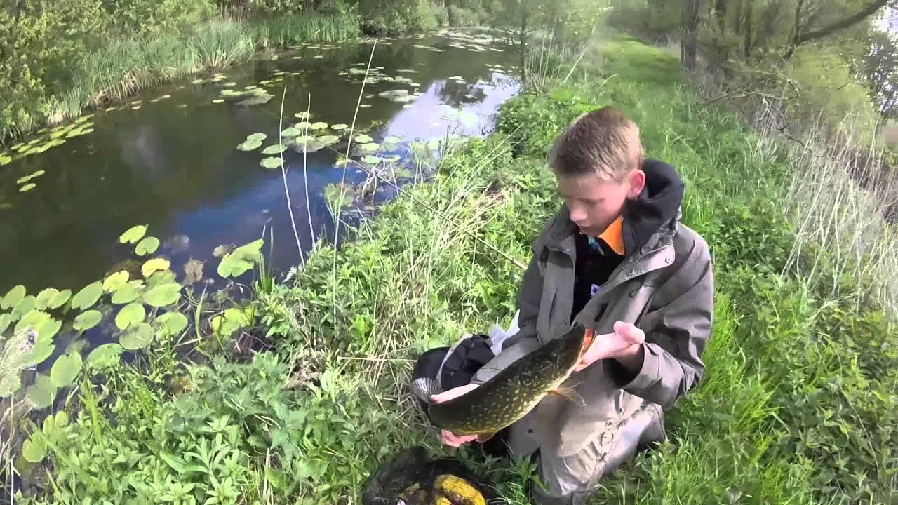 Gedde fiskeri - YouTube