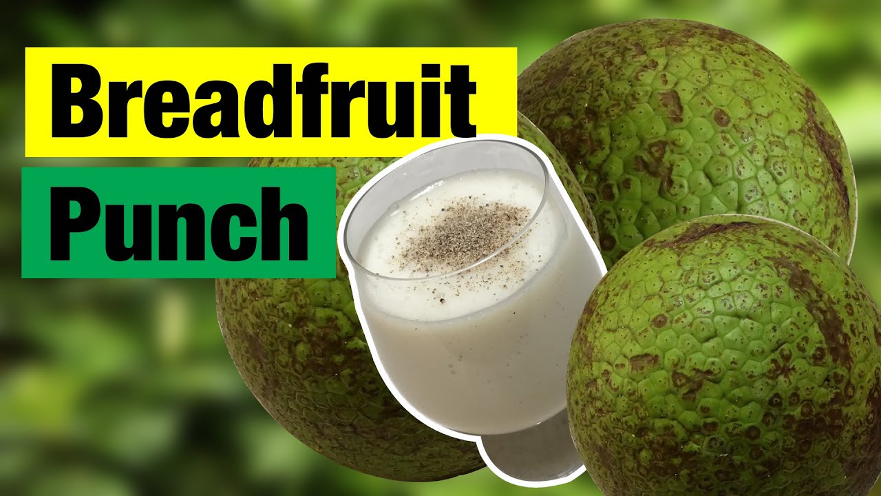 How to make Breadfruit Punch - YouTube