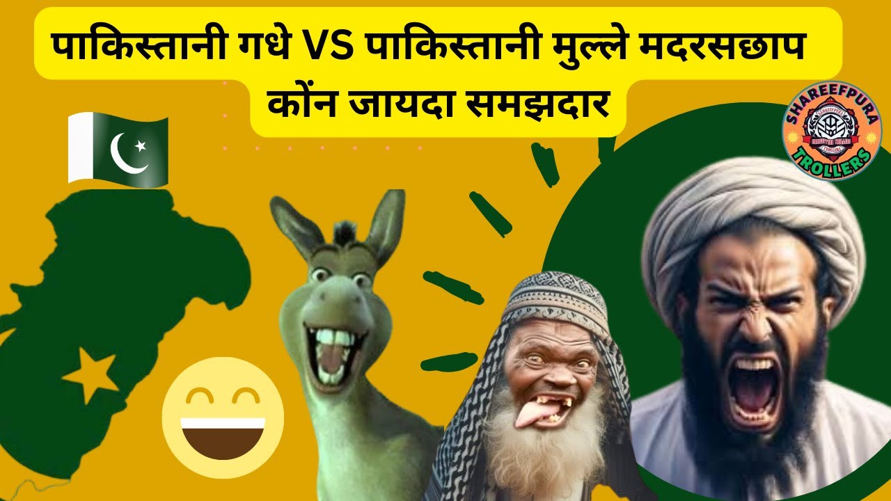 Reacting to Funny Pakistani Gadha Videos - YouTube