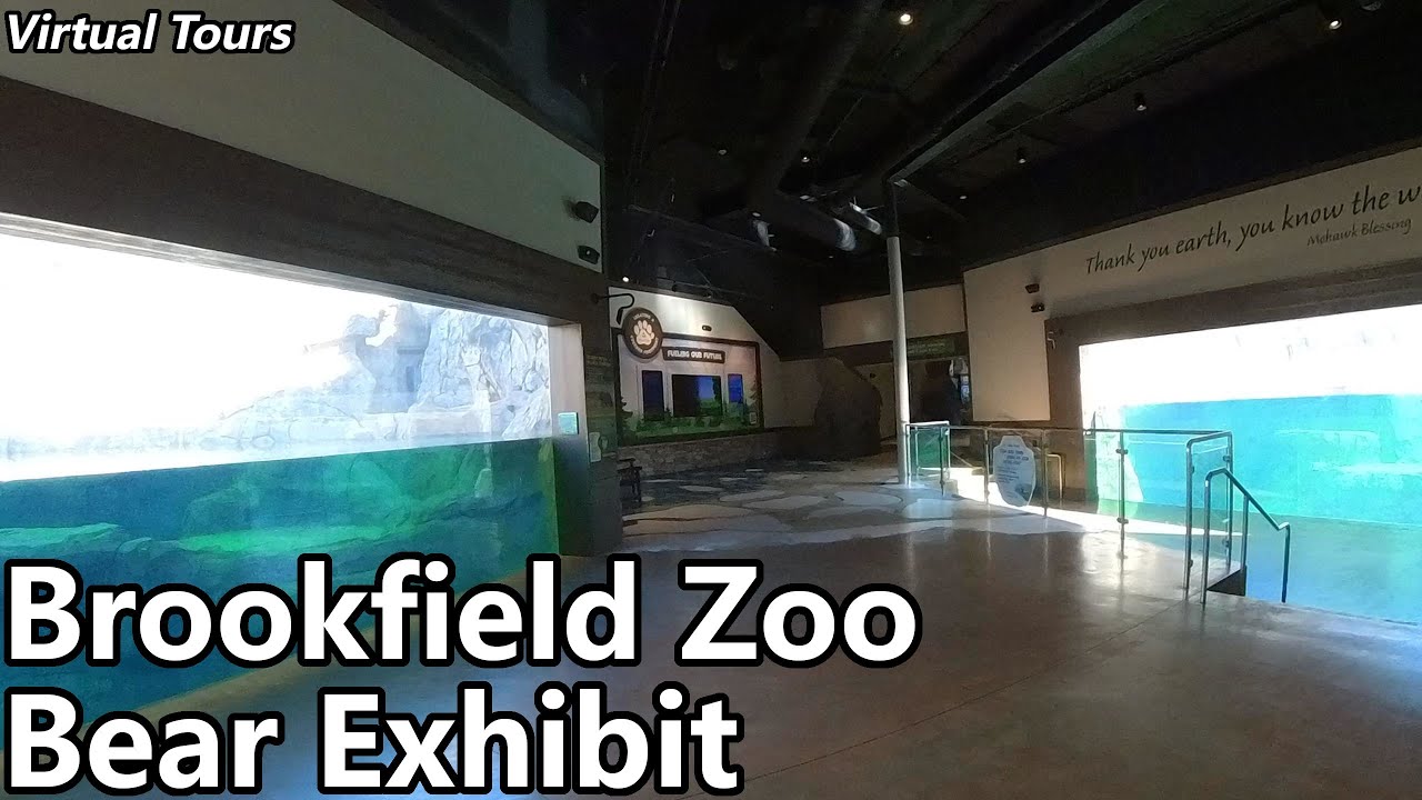 Brookfield Zoo Bear Exhibit // Virtual Tours - YouTube