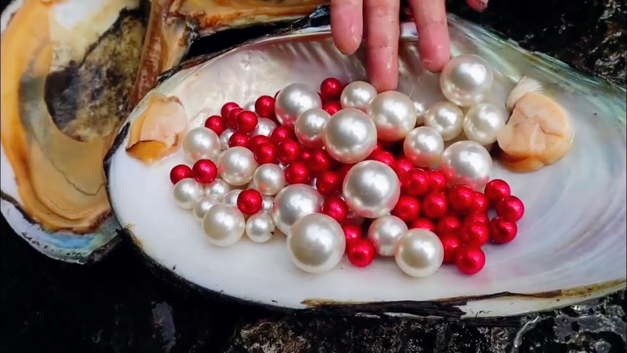 “Freshwater Pearls vs. Saltwater Pearls: Everything You Need to Know ...