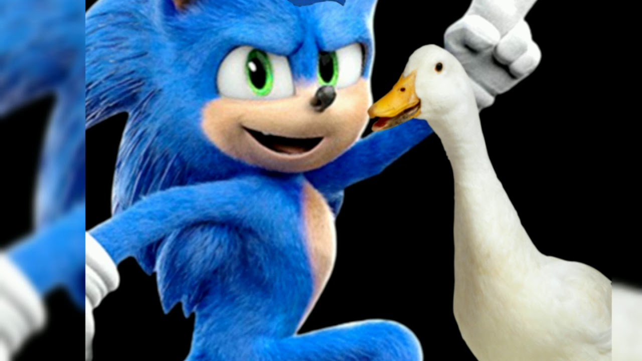 A Hedgehog And Goose - YouTube