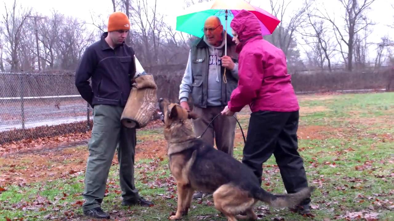 Vic Wilms Seminar - YouTube