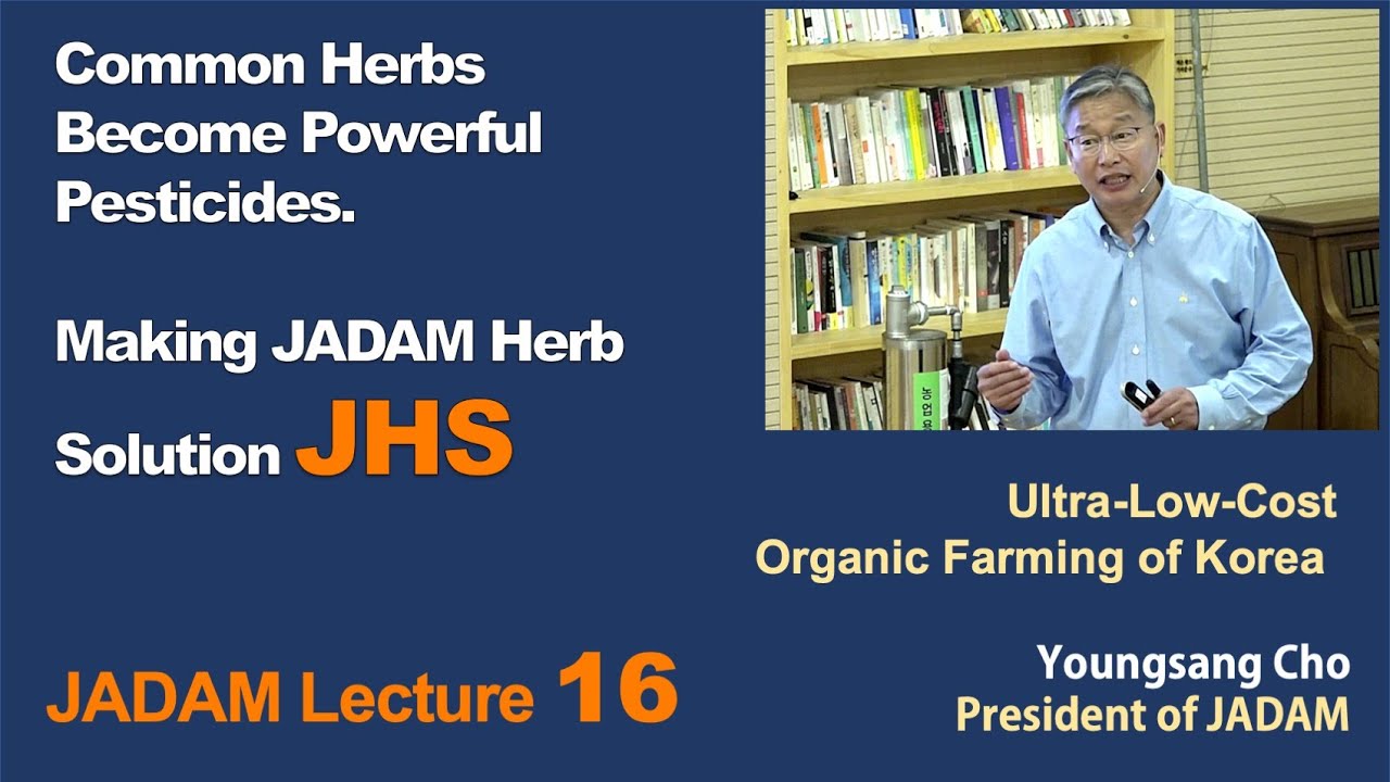 JADAM Lecture Part 16. Common Herbs Become Powerful Pesticides. Making ...