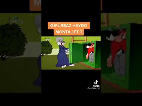 Haydo serisi 10