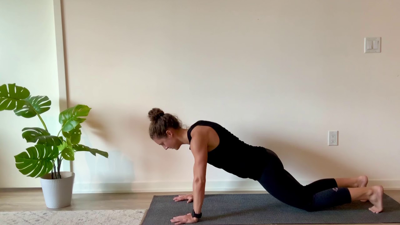 Modified Push-ups - YouTube