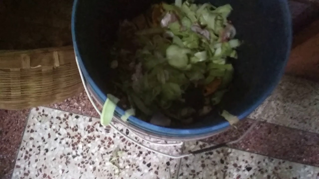 Kitchen scraps collection system in use in kitchen - YouTube