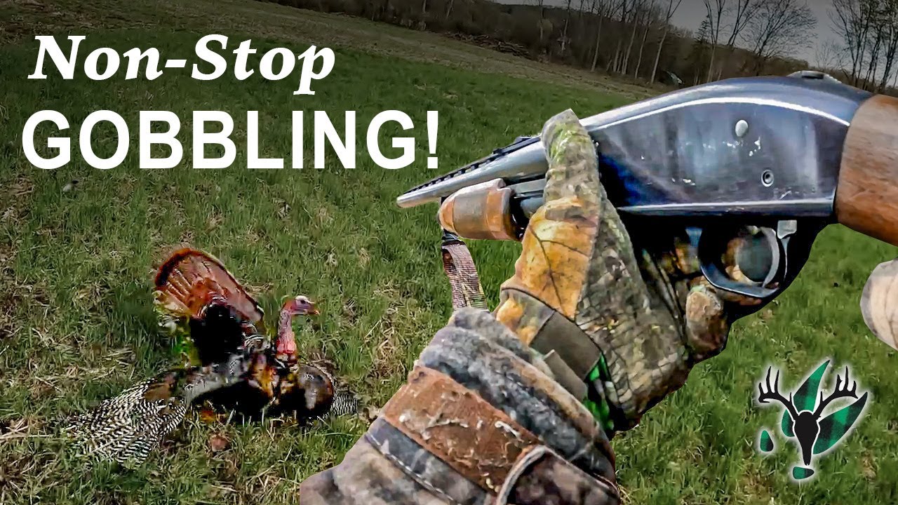 NON-STOP GOBBLING! BWB's Bob Dunbar brings a hammering tom in CLOSE ...