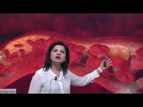 Proteinlerin Genel Özellikleri Biyoloji | TYT-AYT Konu Anlatımı