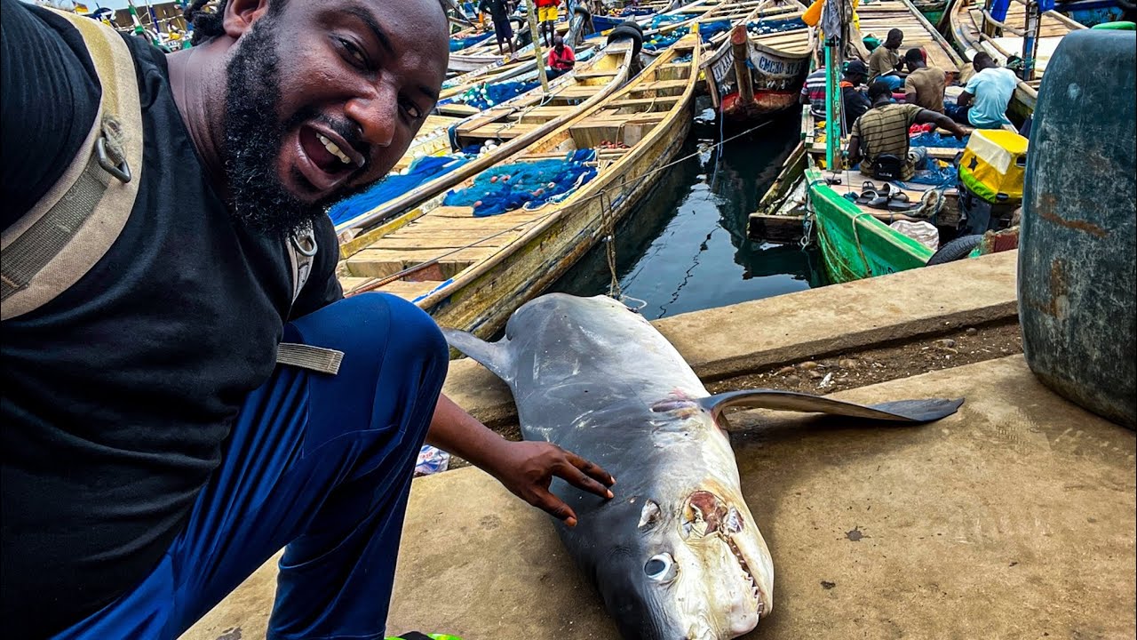 Seeing Shark And Flying Fish For The First Time - Togo 🇹🇬 New Fishermen ...