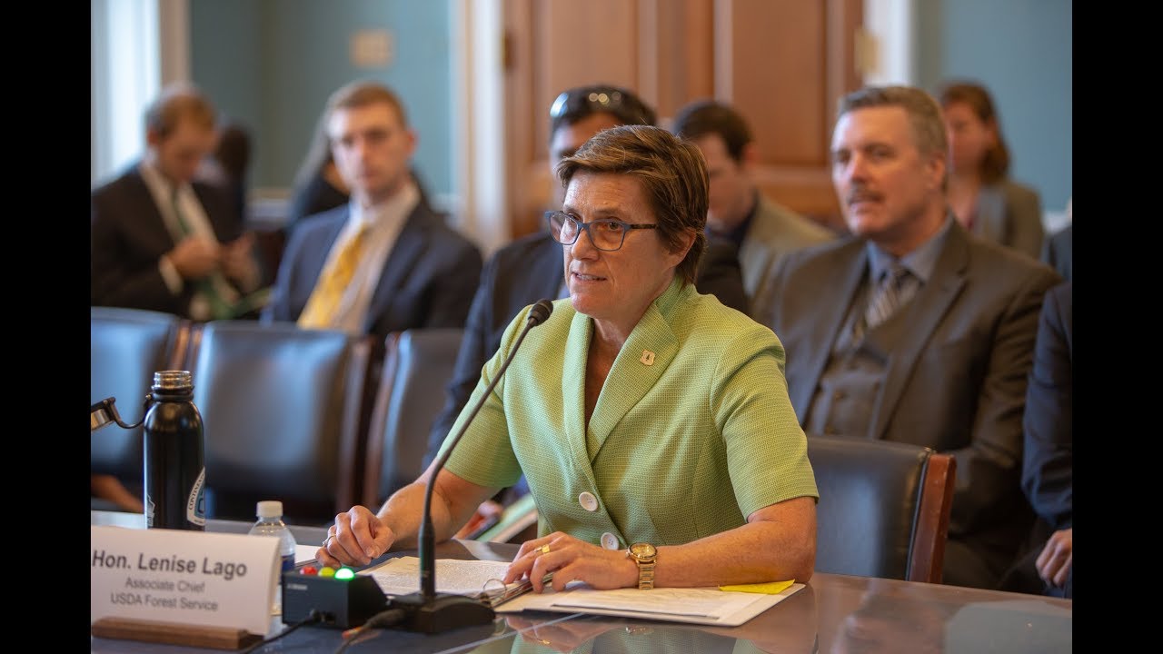 CF Subcmte Hearing on Forest Infrastructure - YouTube
