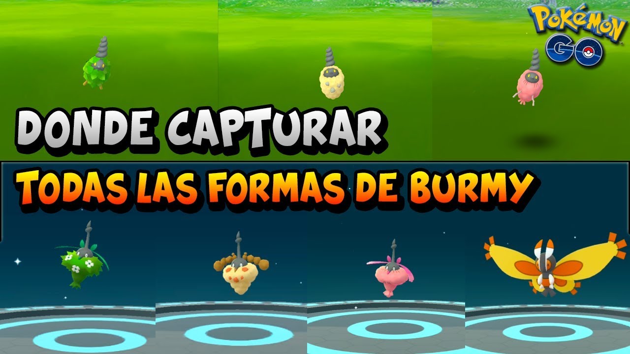 ¿DÓNDE CAPTURAR TODAS LAS FORMAS DE BURMY? LOCALIZACIÓN+ EVOLUCIONES ...