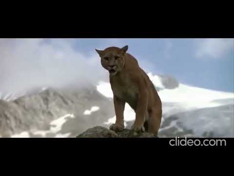 Mike Posner - I Took A Pill In Ibiza (Passat) krutoy-klip-pro-prirodu