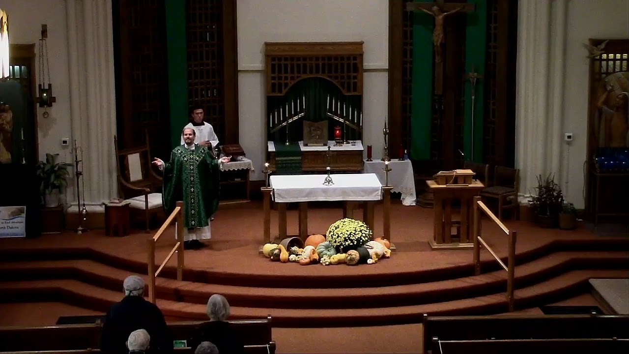 27th Sunday in Ordinary Time - YouTube